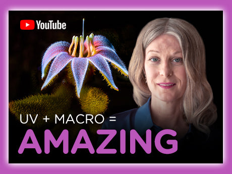 UV + MACRO = AMAZING CAPTURES with Rain Hayes – platypod.com