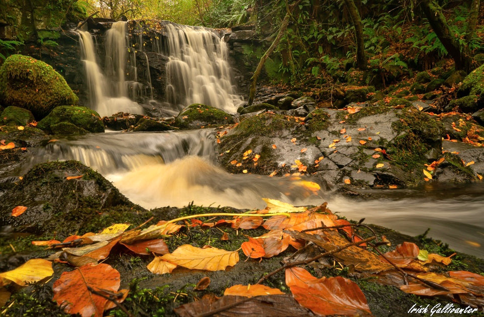 Testing the Platypod eXtreme with Nathan Rea – platypod.com